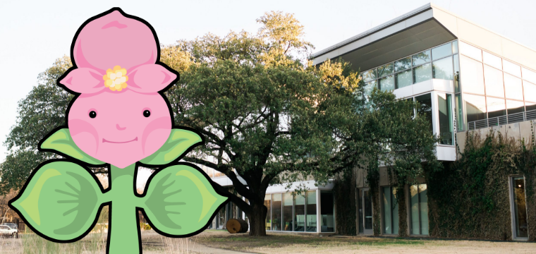 Fort Worth Botanic Garden | Attend + Support