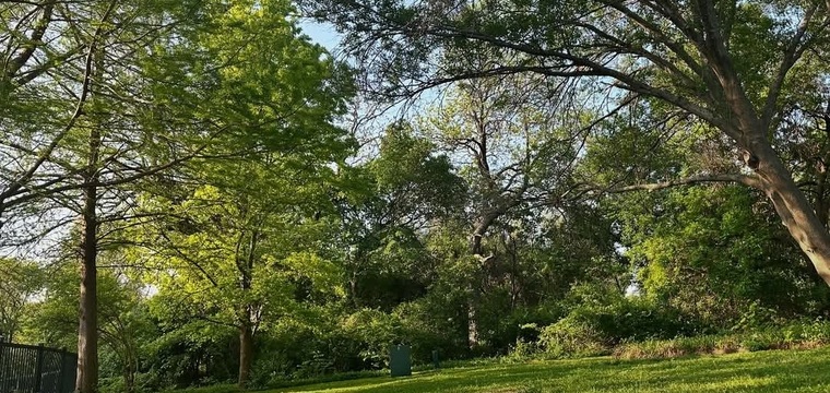 Fort Worth Botanic Garden | Attend + Support