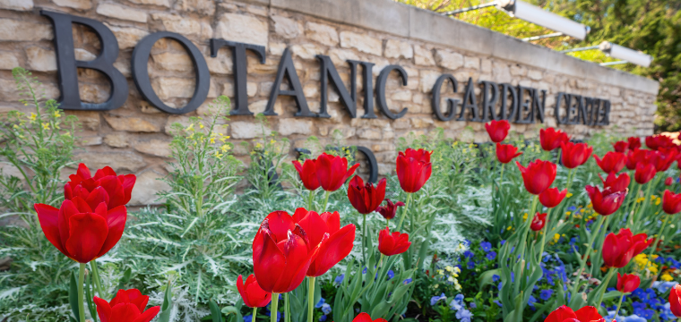Fort Worth Botanic Garden | Attend + Support